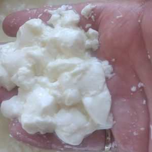 How to drain mozzarella for pizza | Say no to soggy pizza!